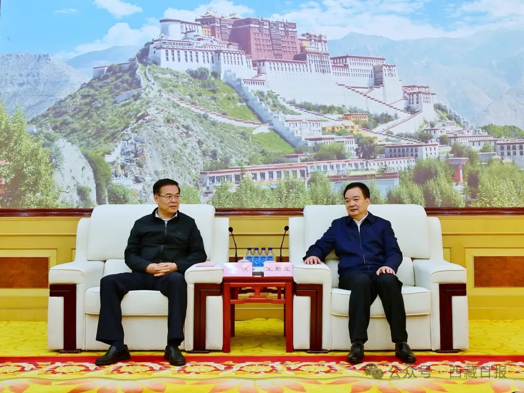 王君正与中央统战部副部长林锐座谈